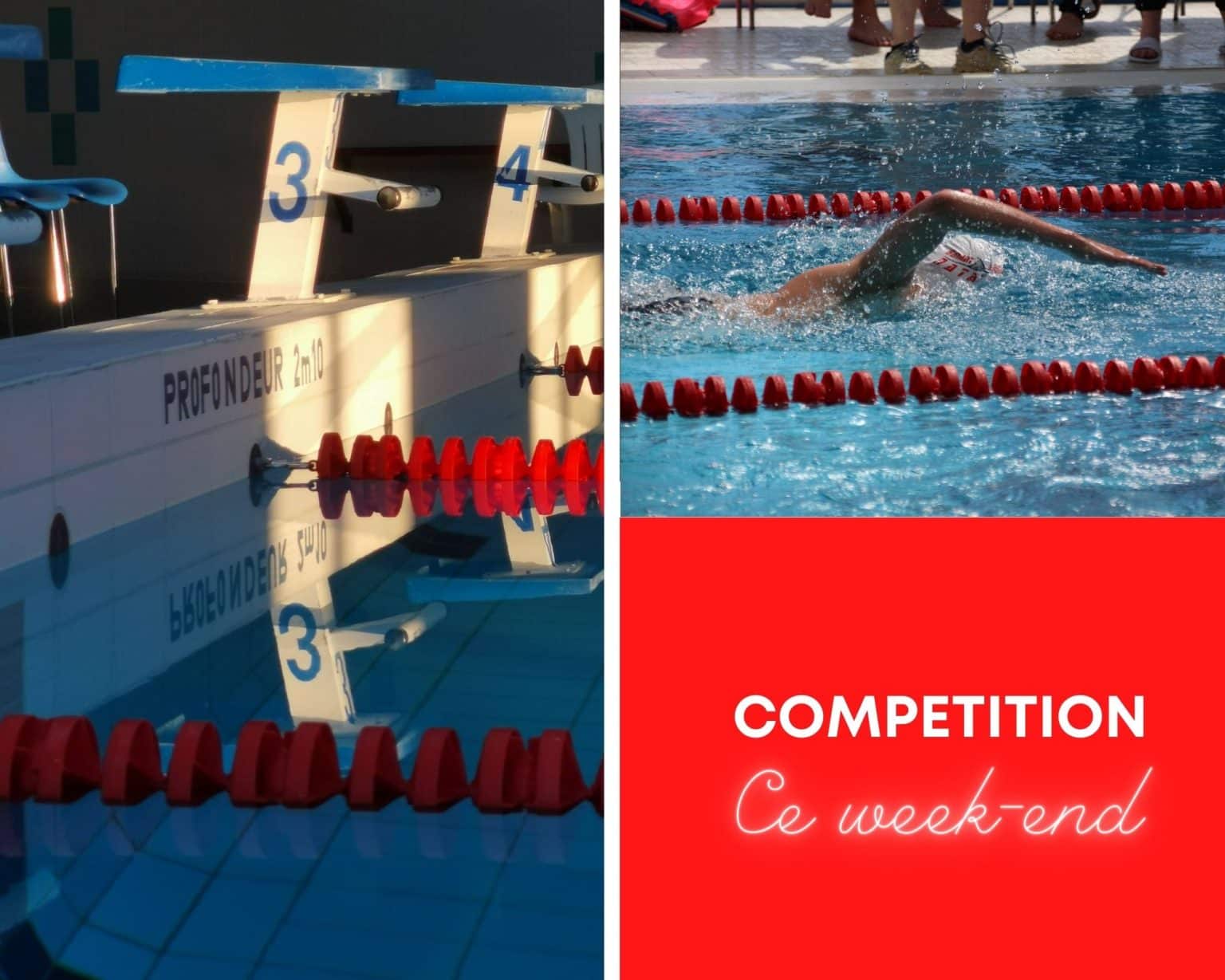Infos Compétition 11 décembre 2022 | Gannat Olympic Natation